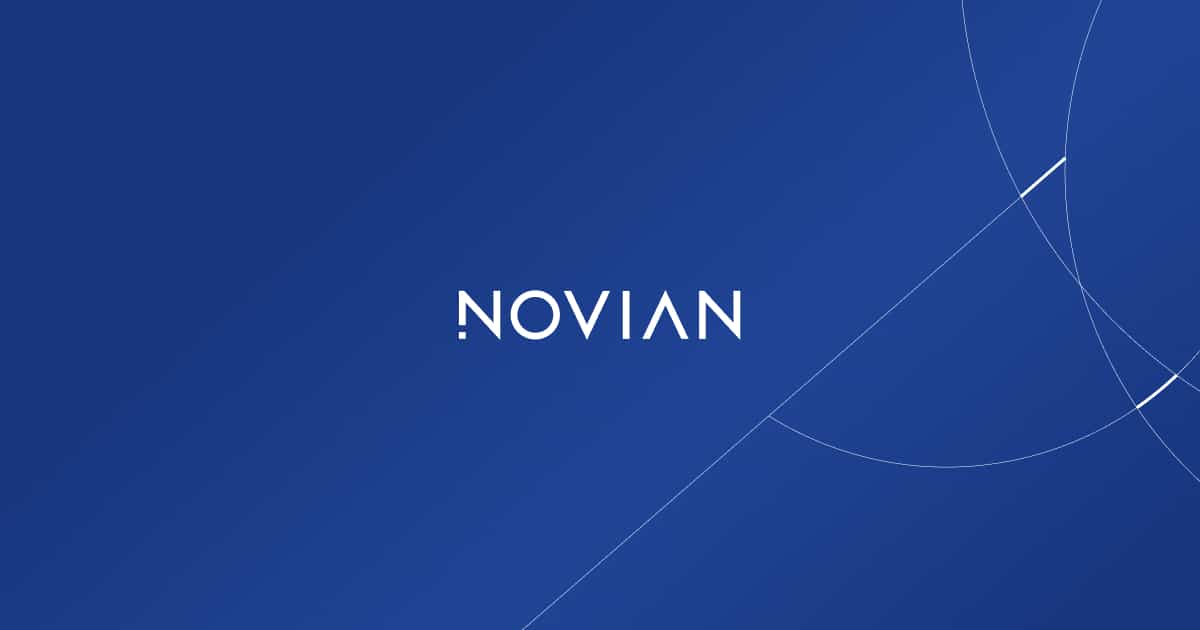 IT solutions and services · Novian